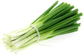 Échalote verte bio (de la ferme)